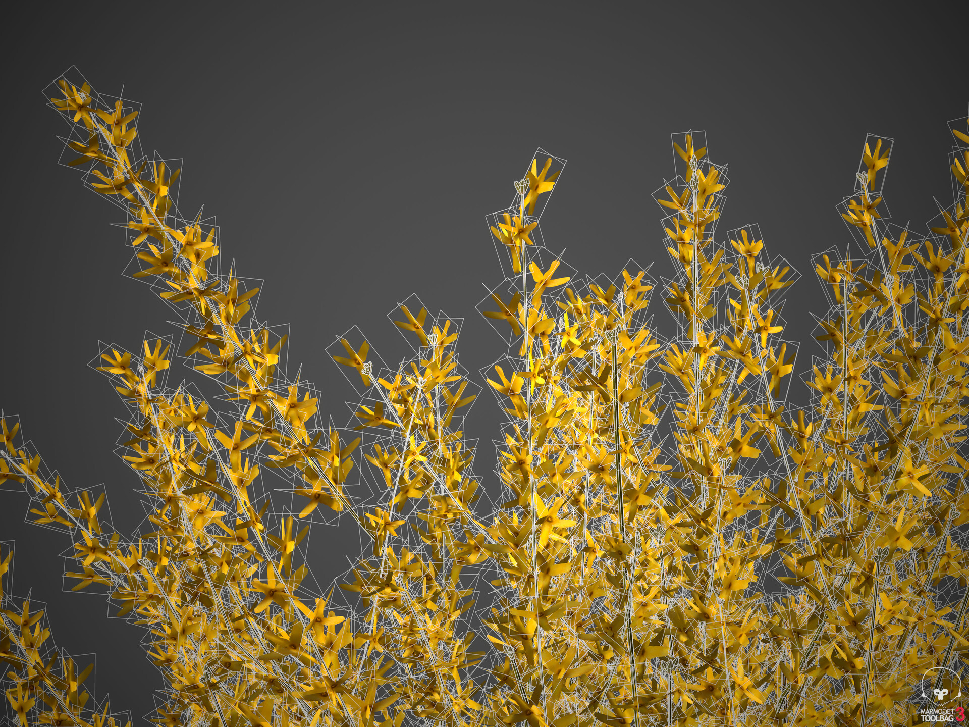XFROG - 2021 PBR Forsythia Collection