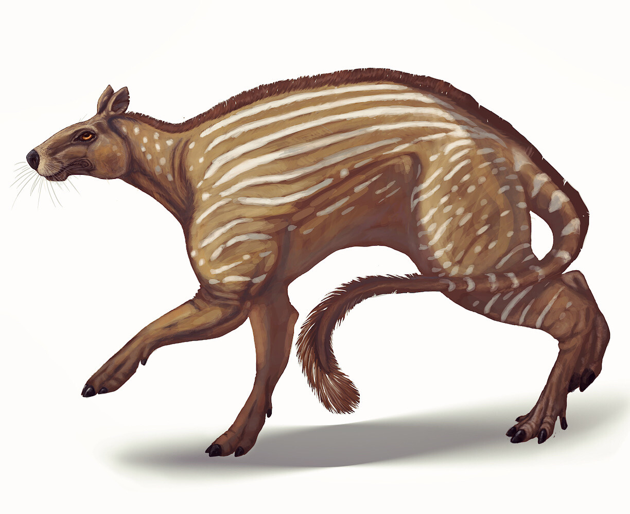 ArtStation - Dancing Phenacodus