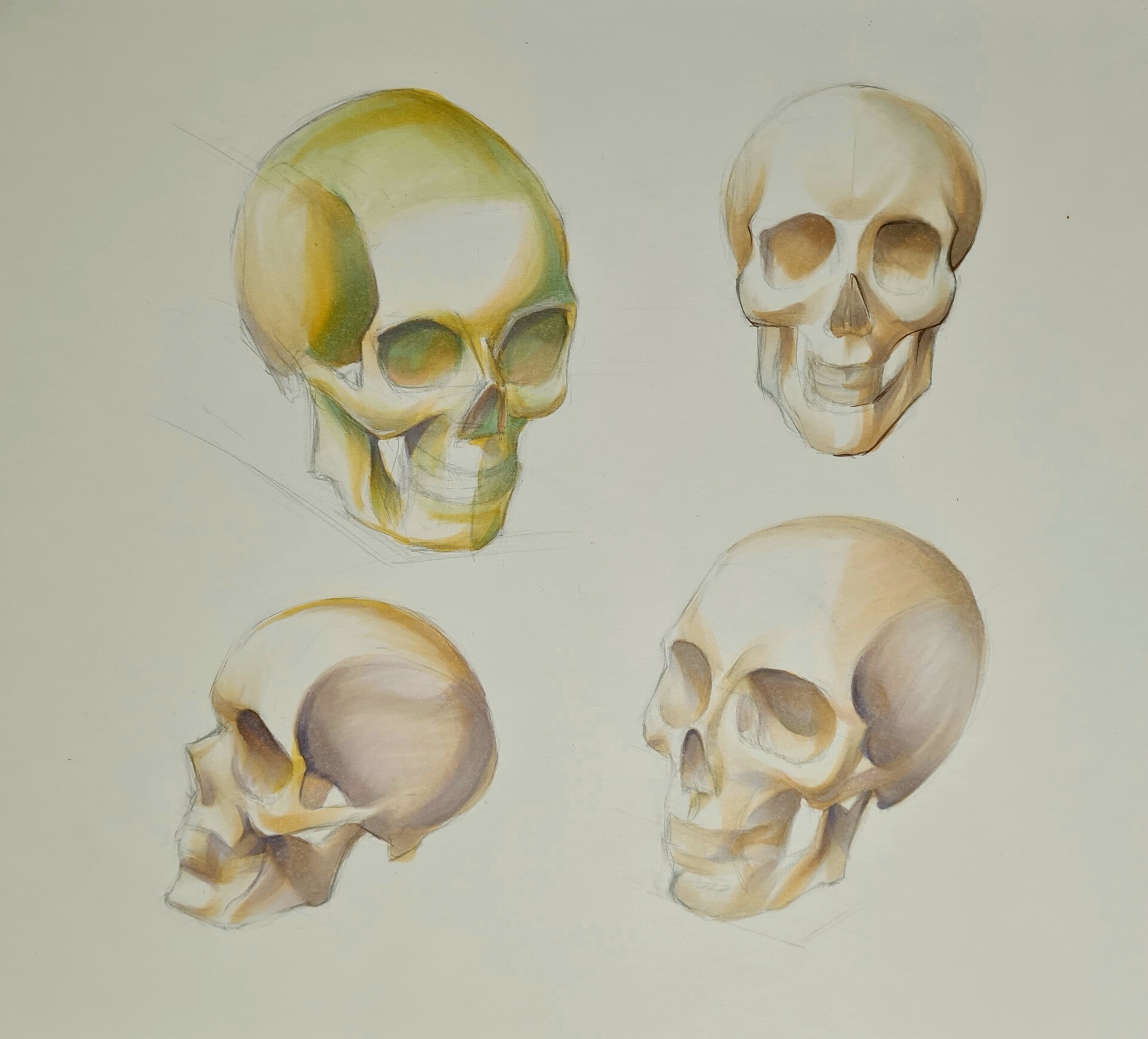 ArtStation - Skull Studies- Marker
