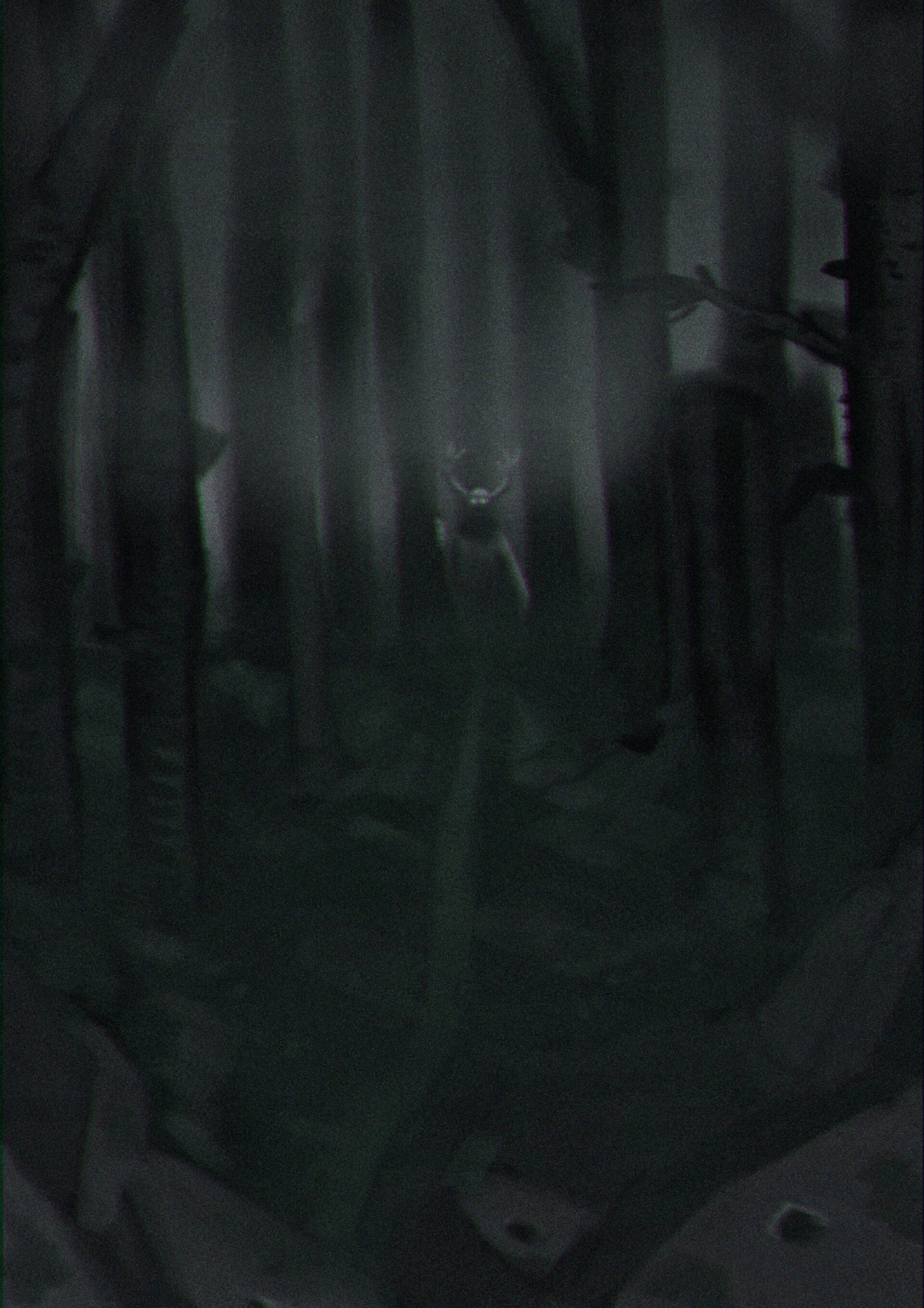 ArtStation - Cursed image