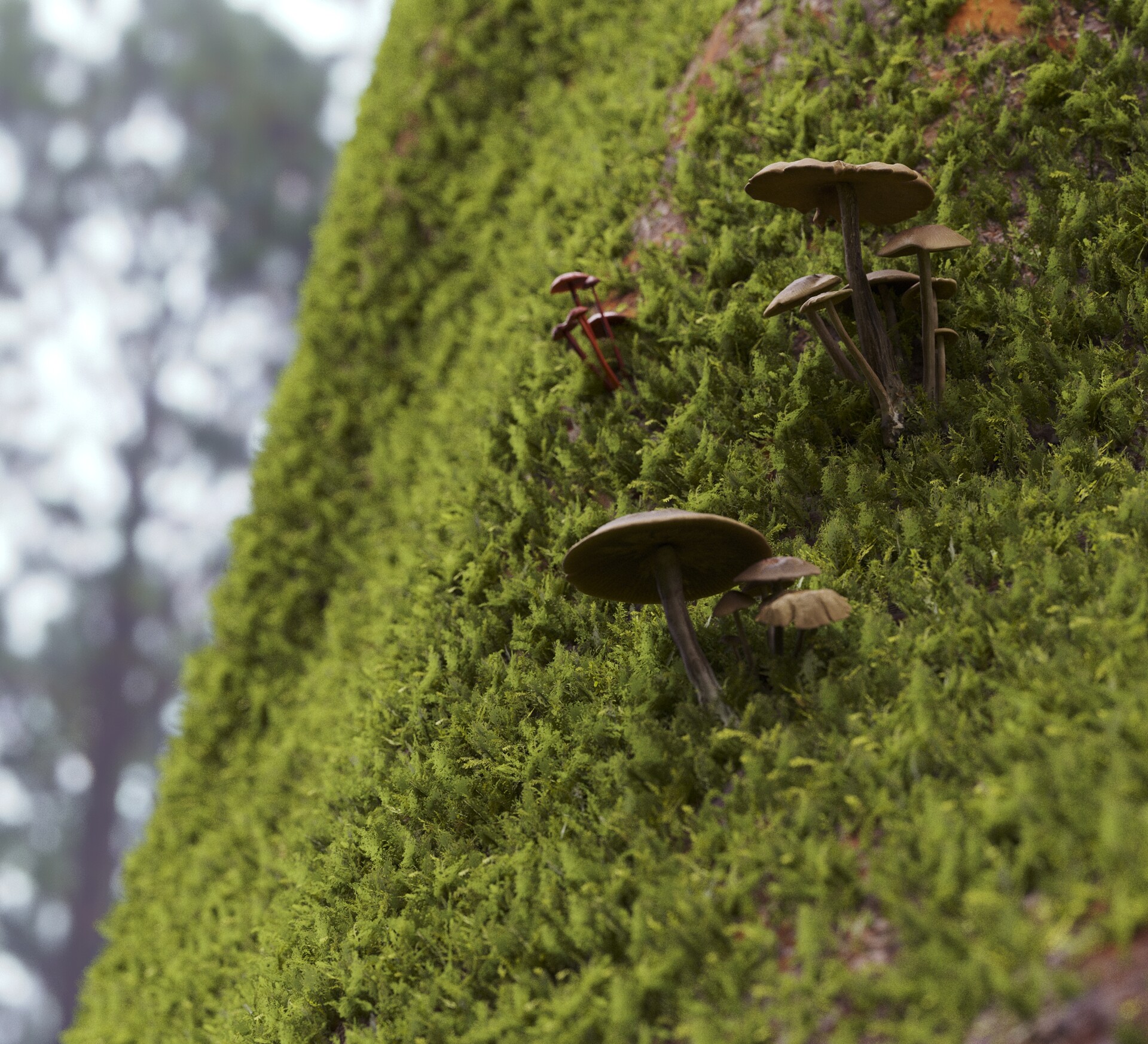 ArtStation - Realistic moss