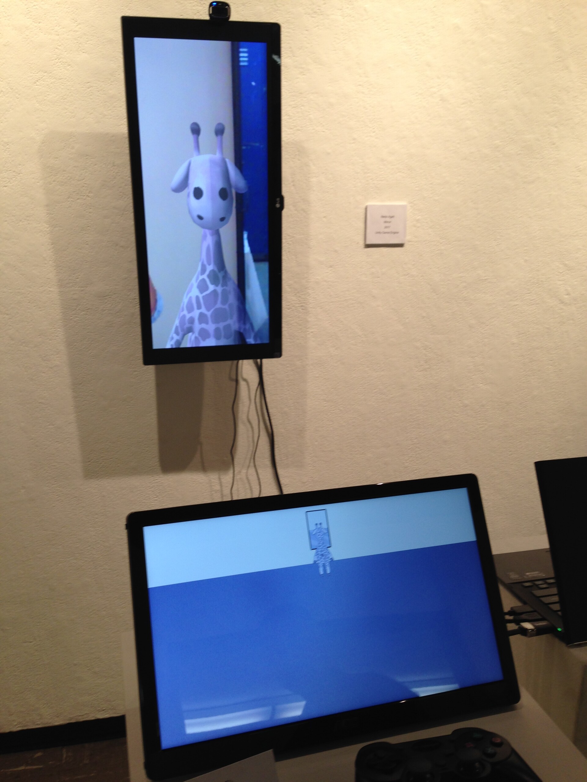 Neda Agah - Giraffe Model