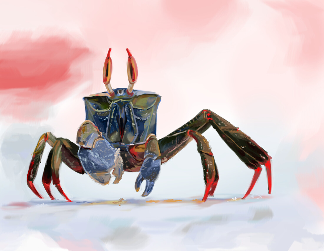 ArtStation - Crab Study