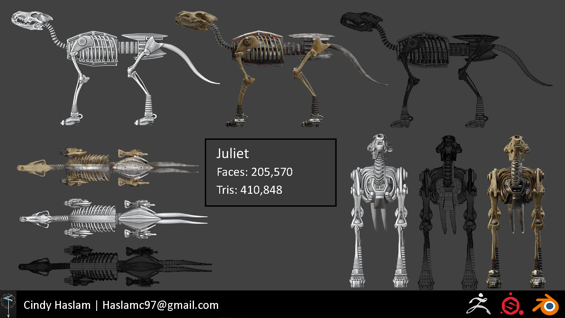 Cindy Haslam - Juliet The Skeletal Robot Dog