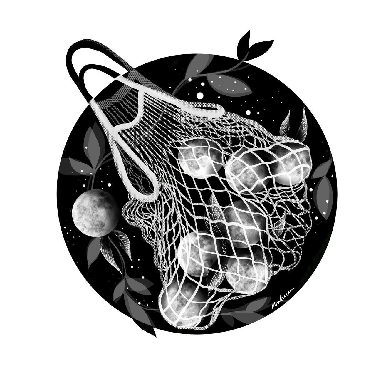 ArtStation - Moones in a bag