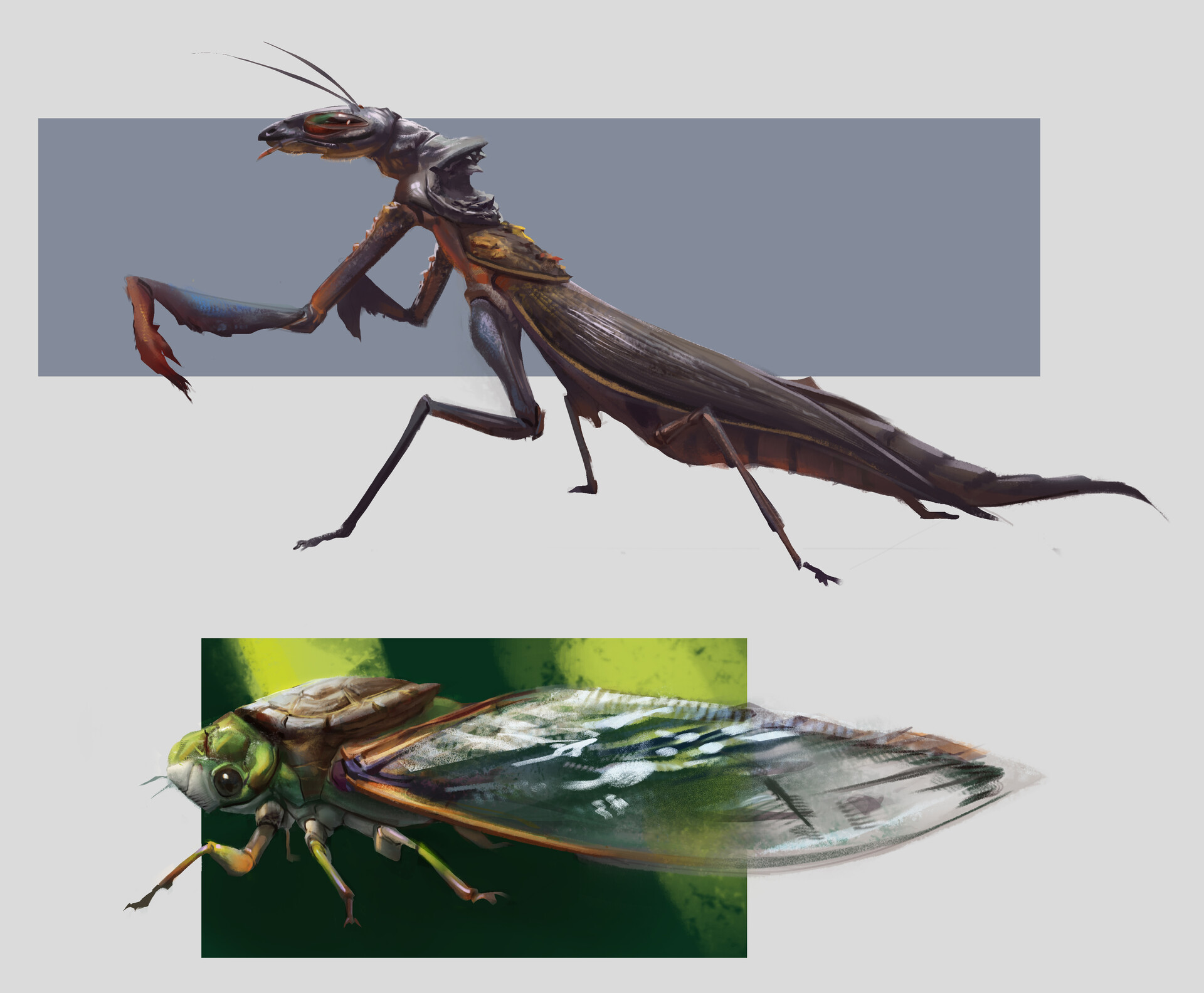 ArtStation - Insect creature design