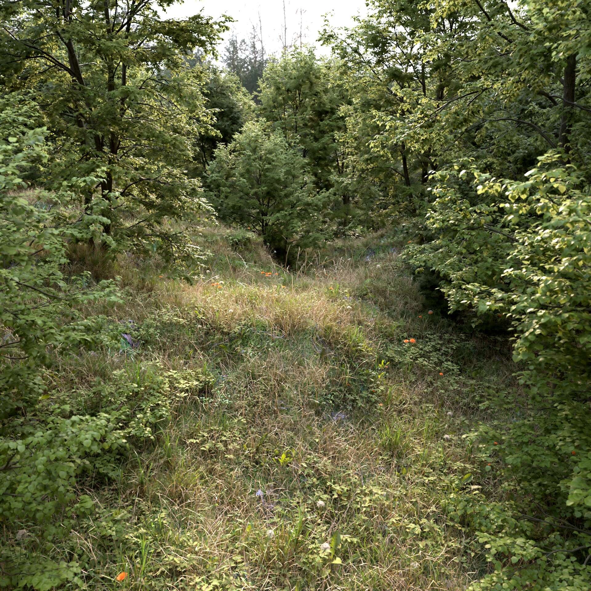 ArtStation - Landscape 0147