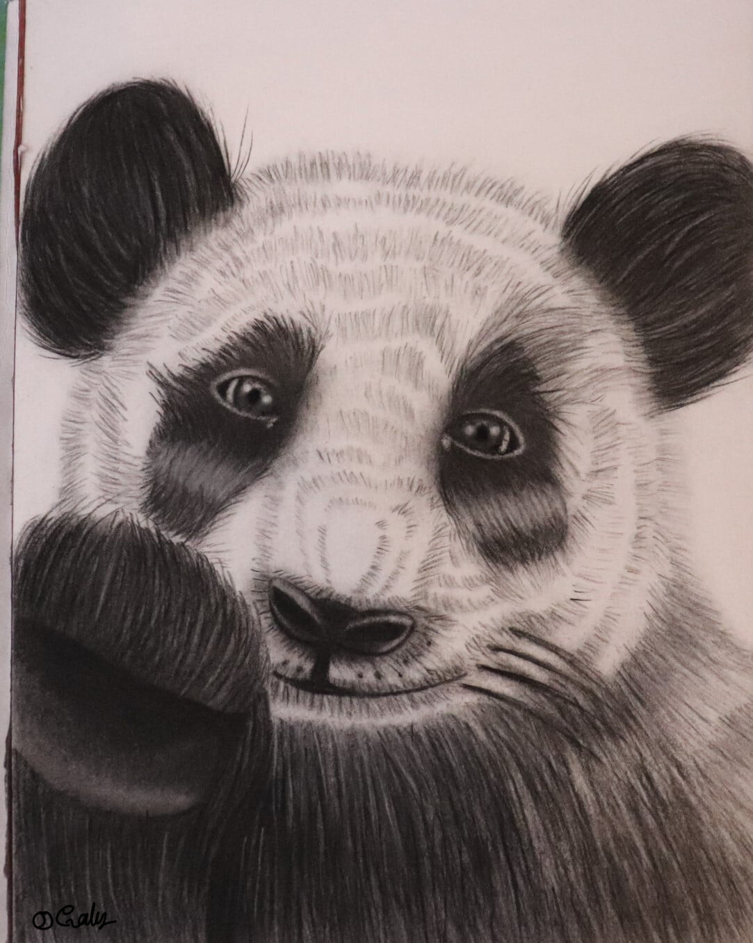 ArtStation - Pan Pan