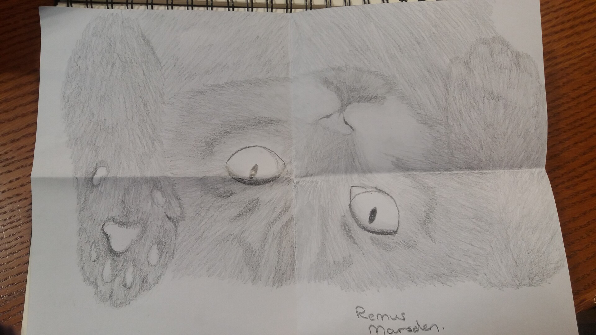 ArtStation - Animal Pencil Drawings