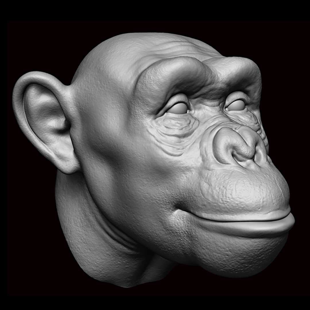 ArtStation - Chimp - WIP