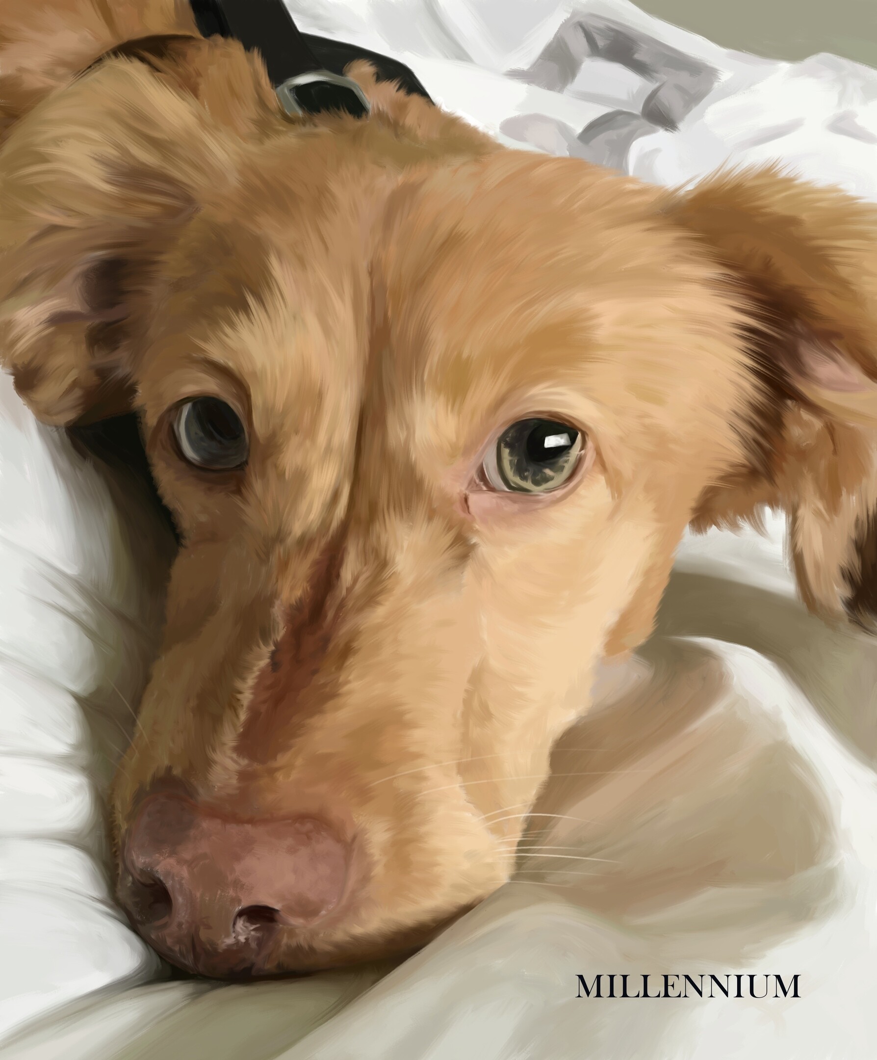 ArtStation - The Dog