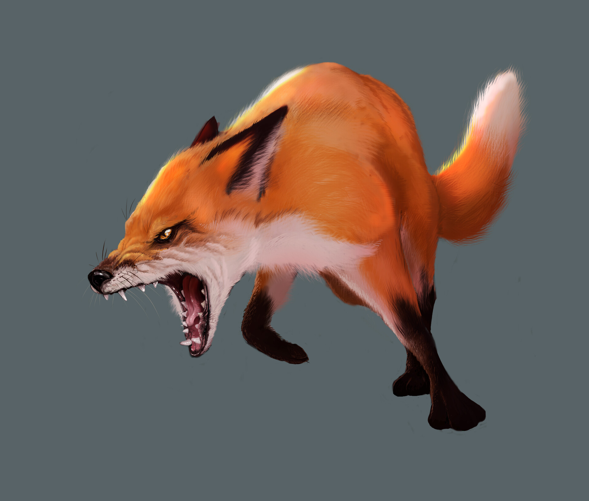 sergey ragulin - wild fox