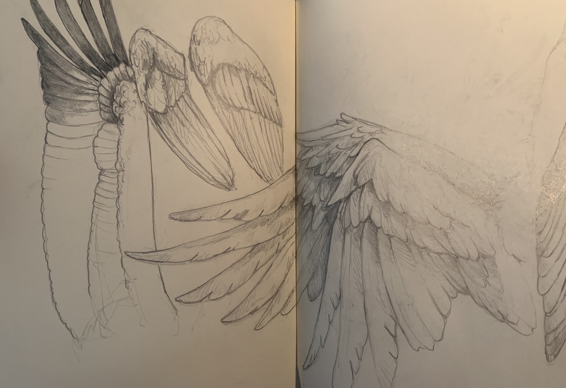 J J - Sketches 2019-20