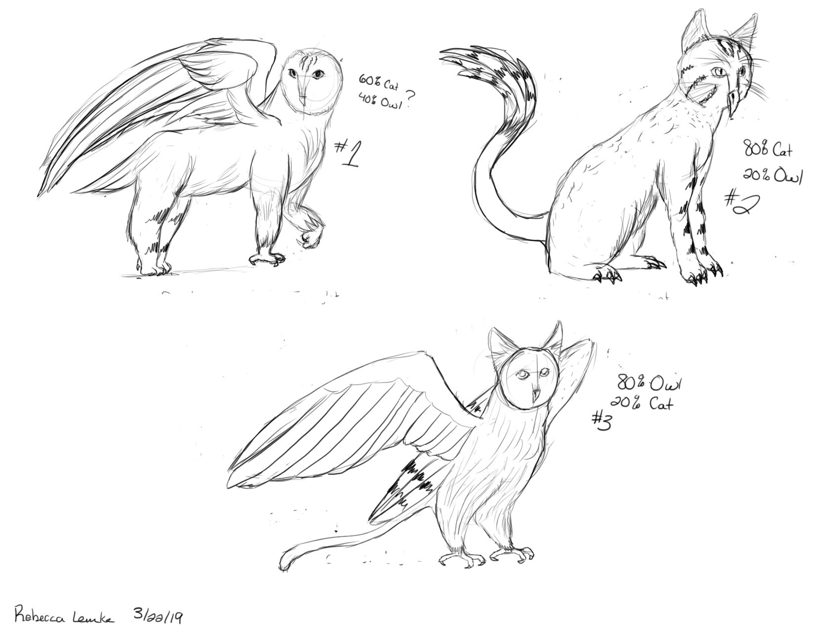 how to draw cat owl