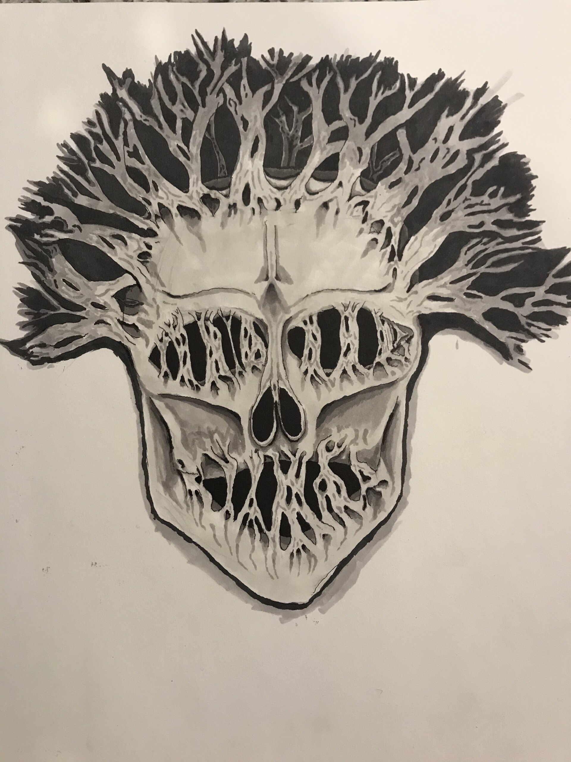 ArtStation - Skull drawing