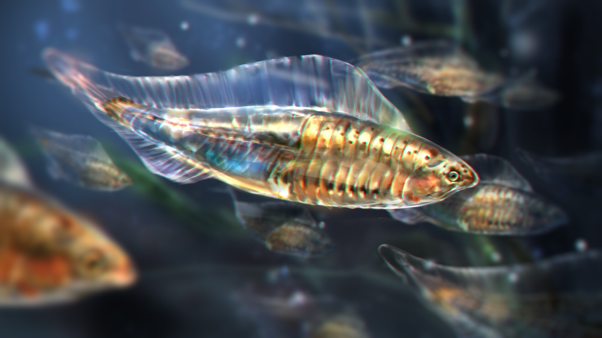 ArtStation - Haikouichthys