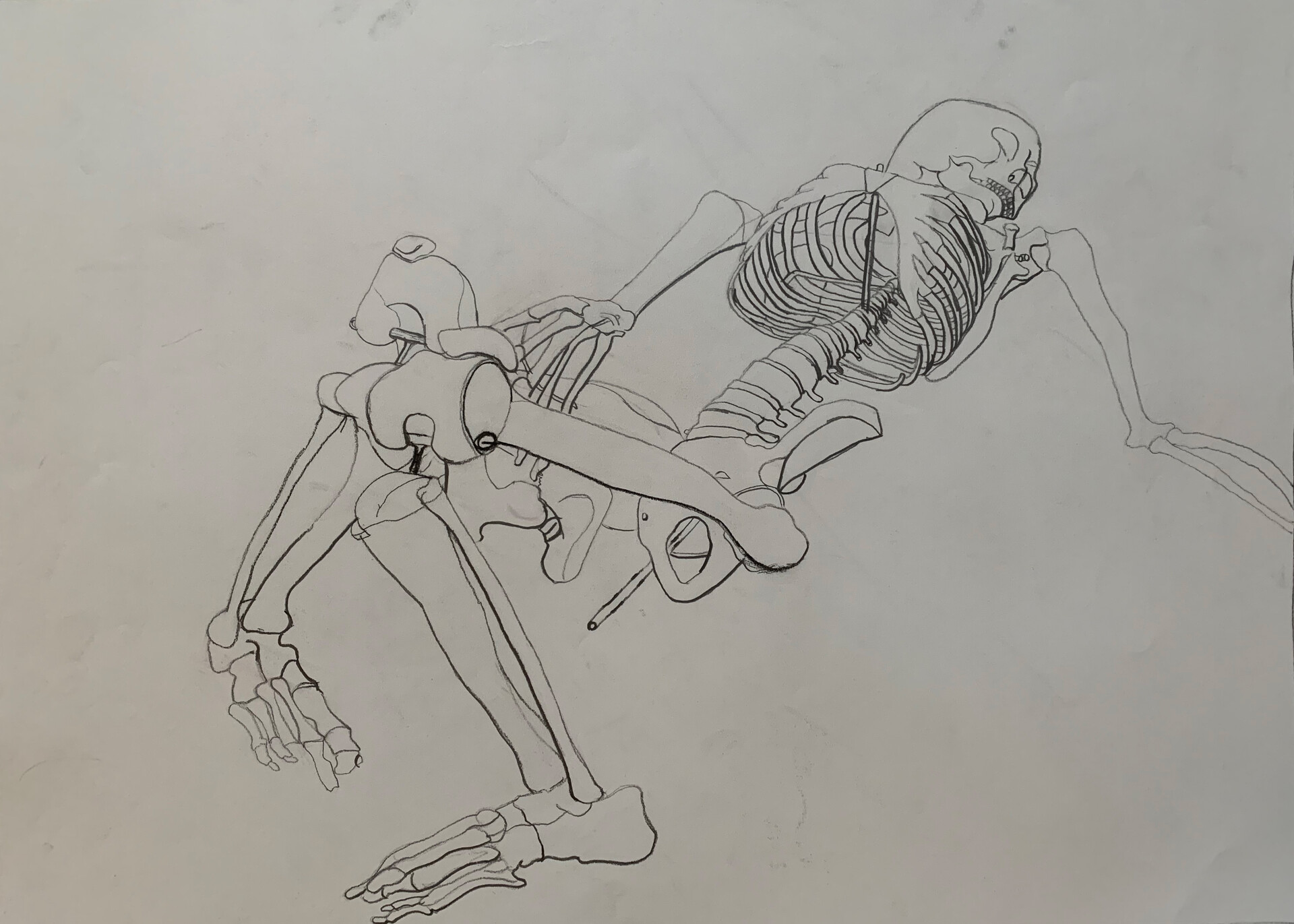 ArtStation - Skeleton