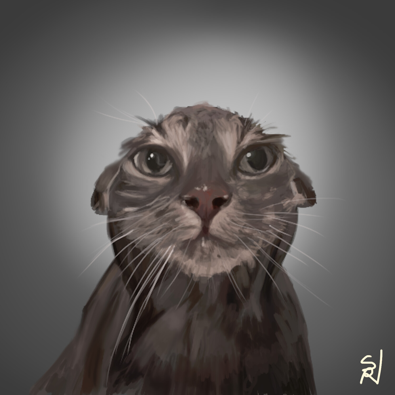 Sara Maria - Digital painting study: cat
