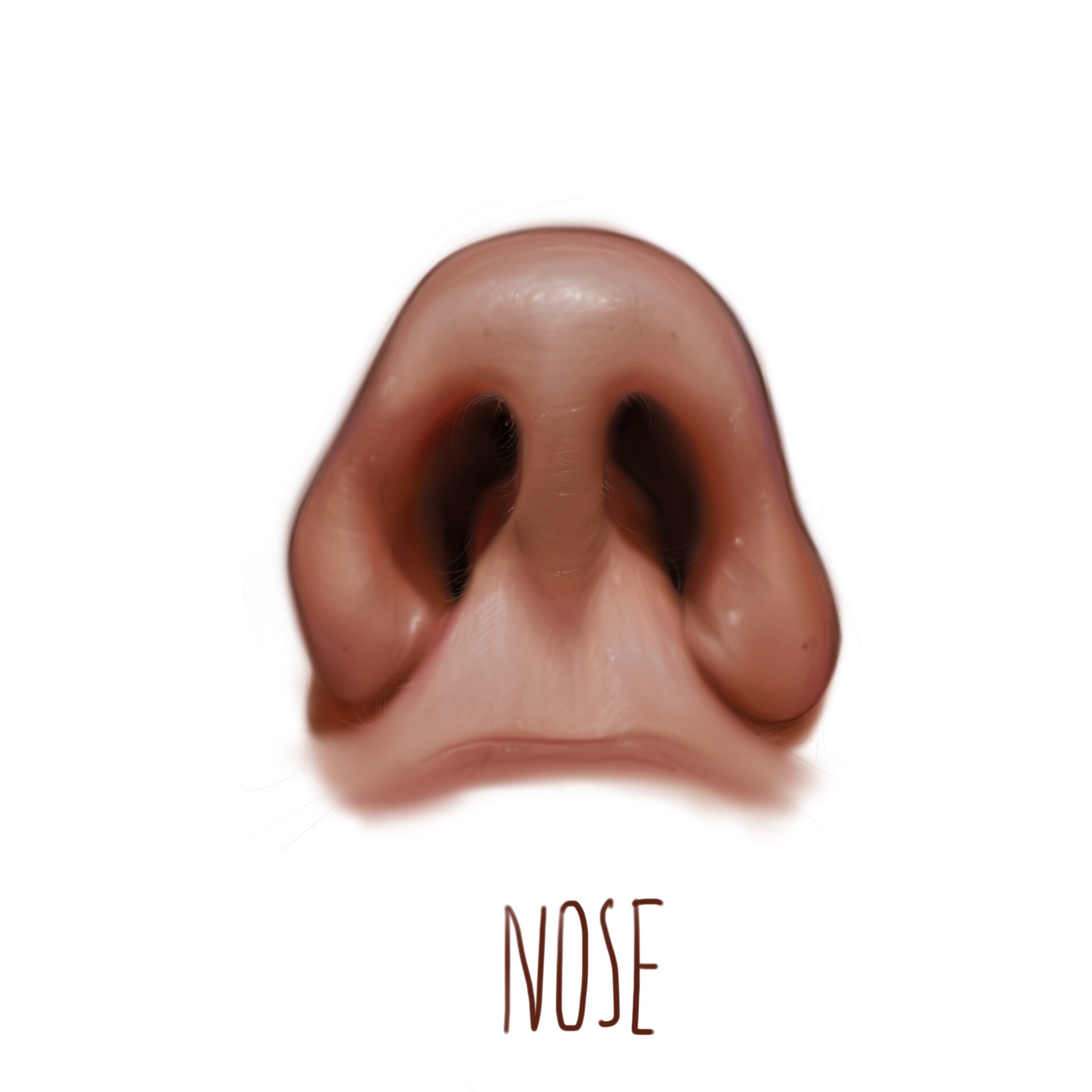 ArtStation - Nose