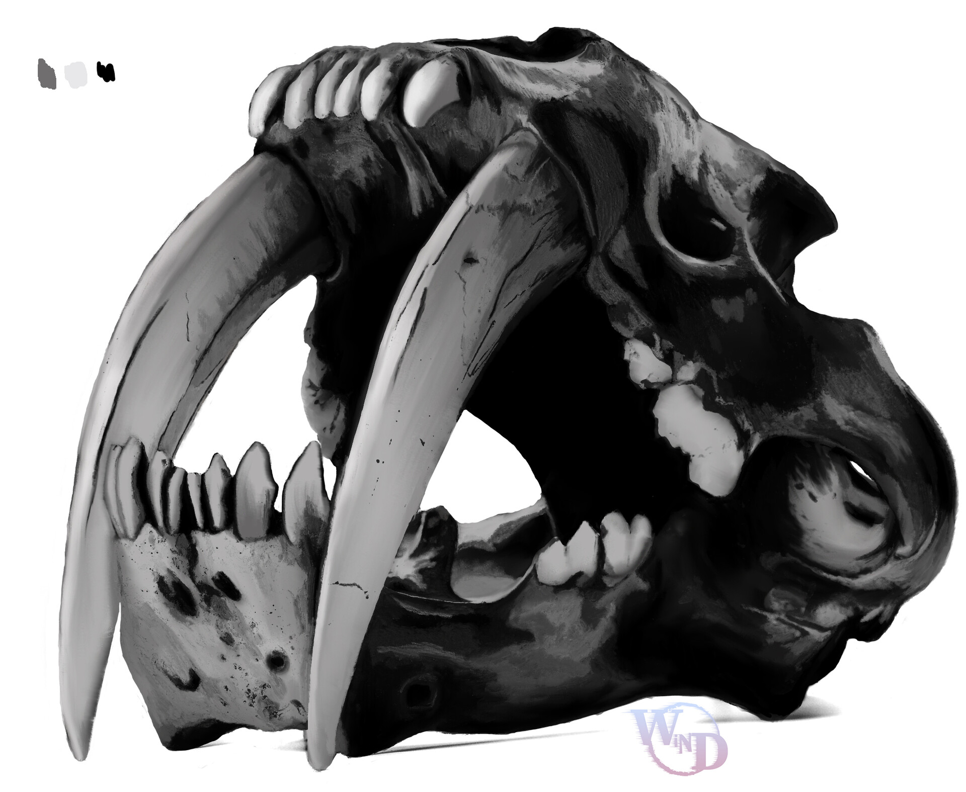 ArtStation - Skeleton skull