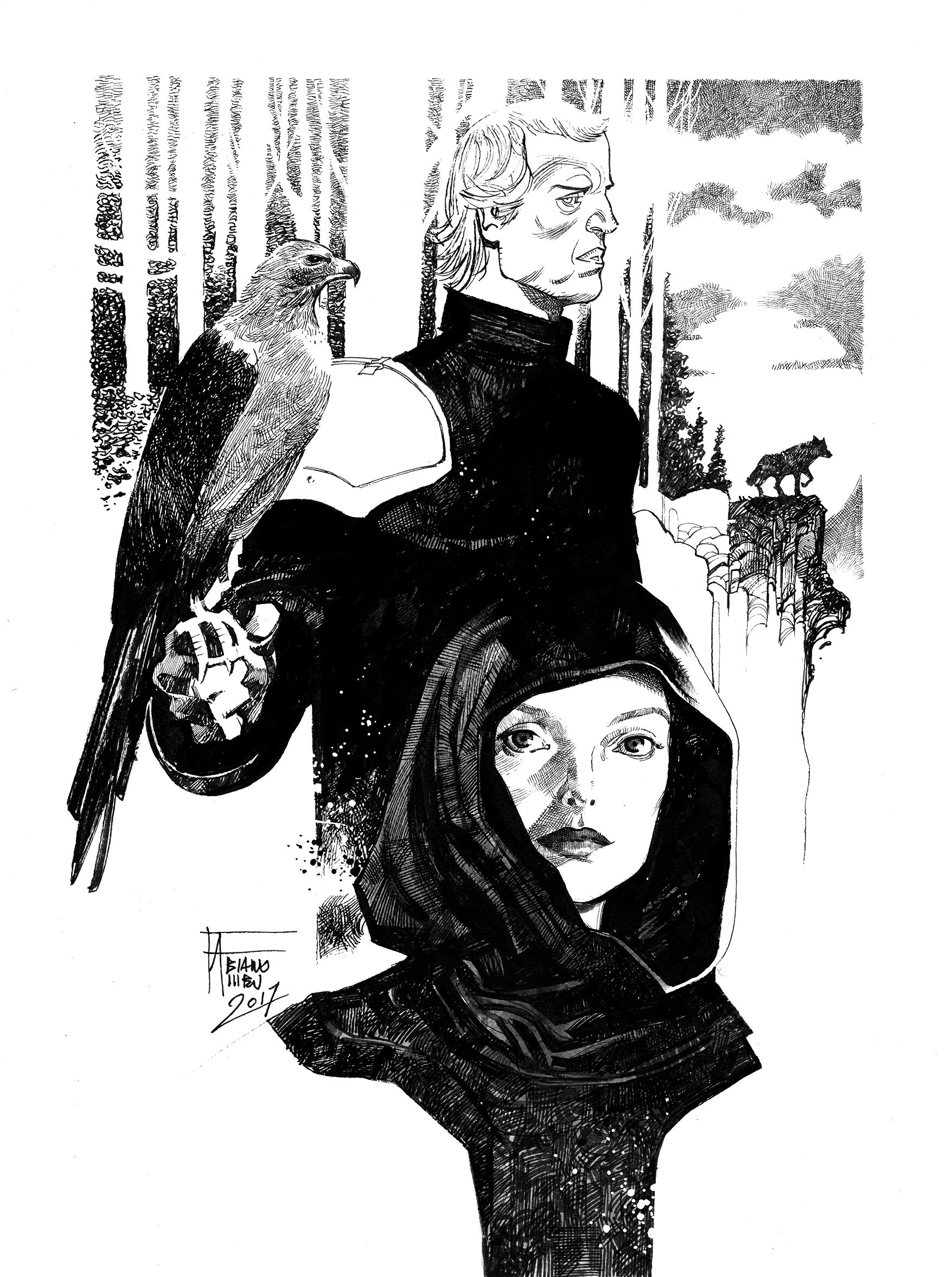 ArtStation - Fan art - Illustration - Lady Hawke