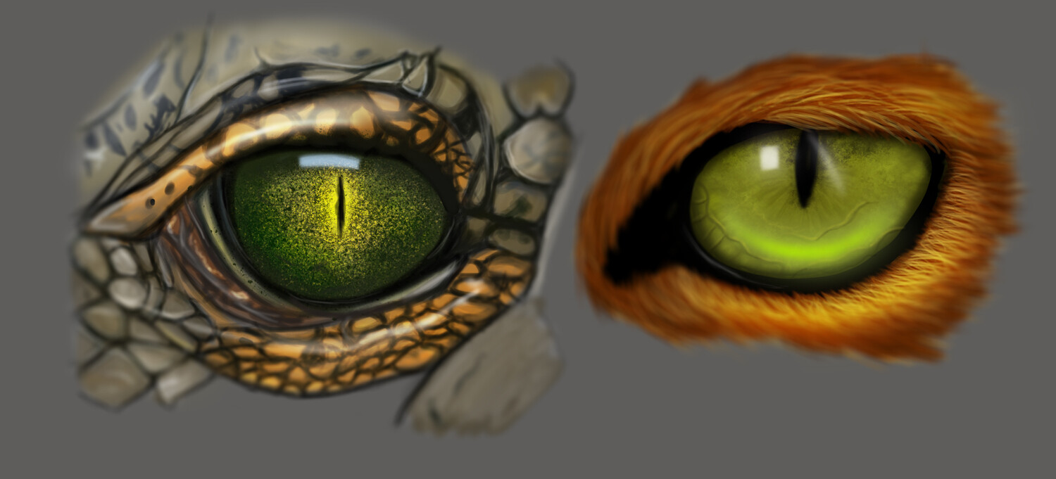 ArtStation - Animal Eyes