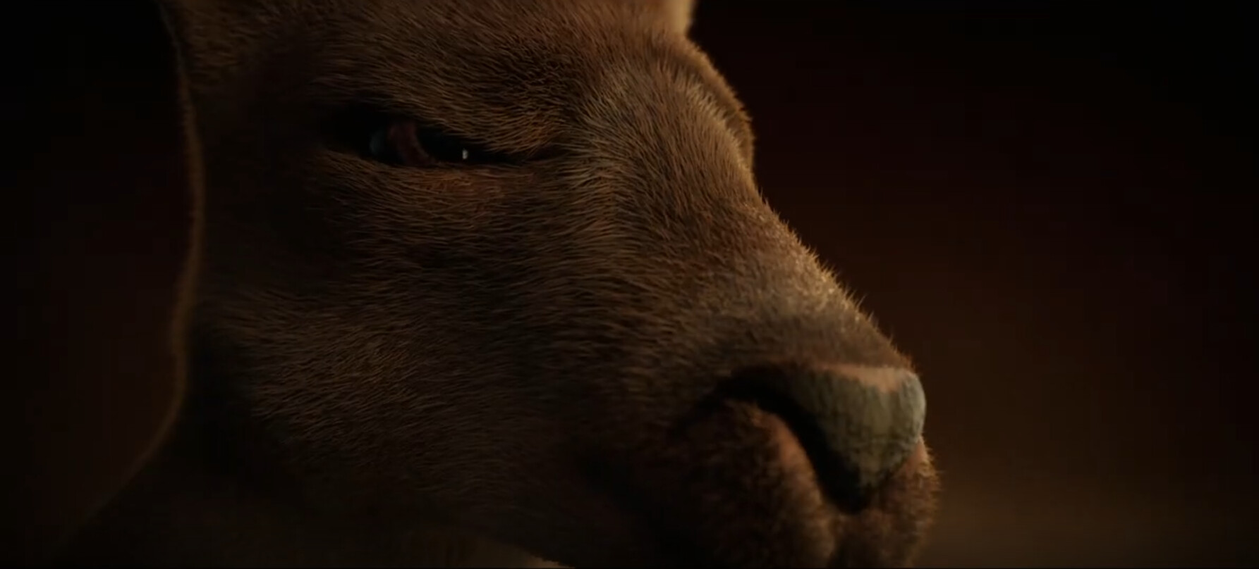 ArtStation - Toy store advert 3rd year project