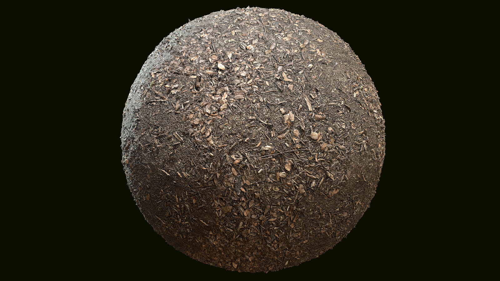hide naga - Photogrammetry based Environment Texture 3