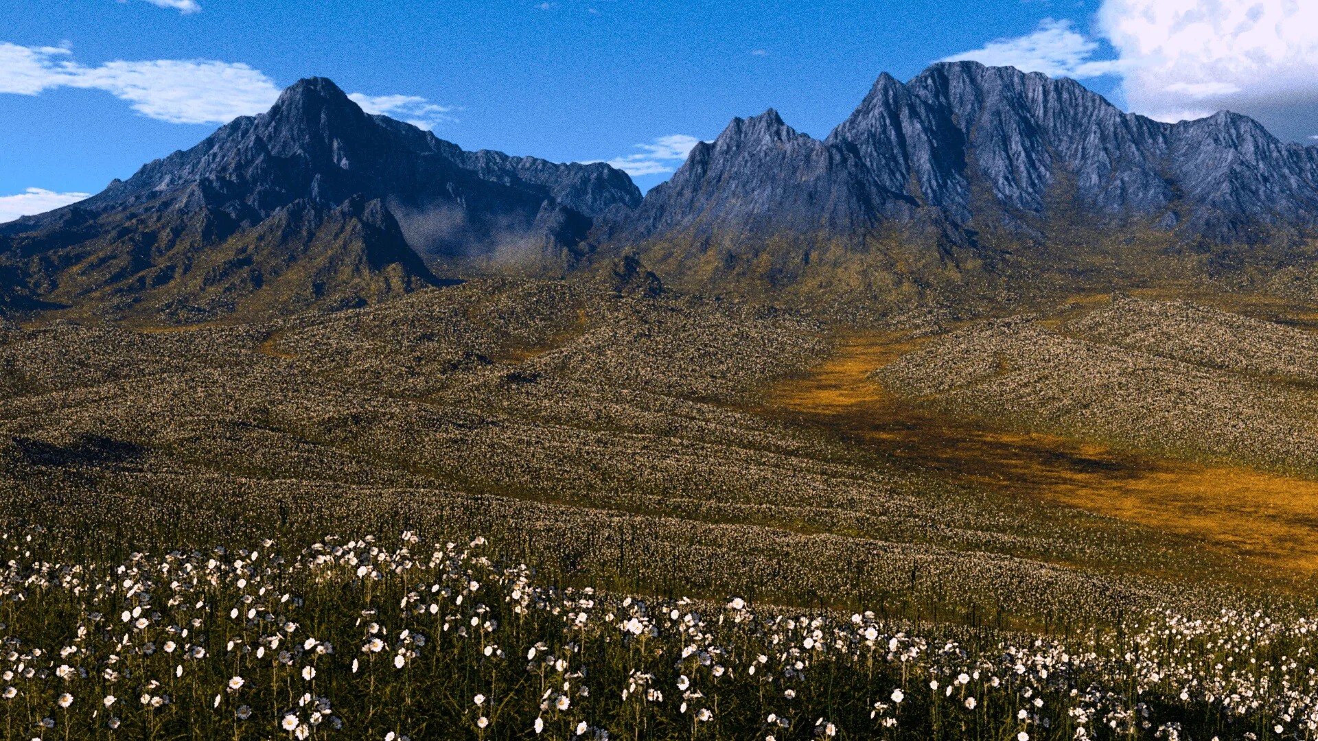 Shandon Bowden - The Mountain Path