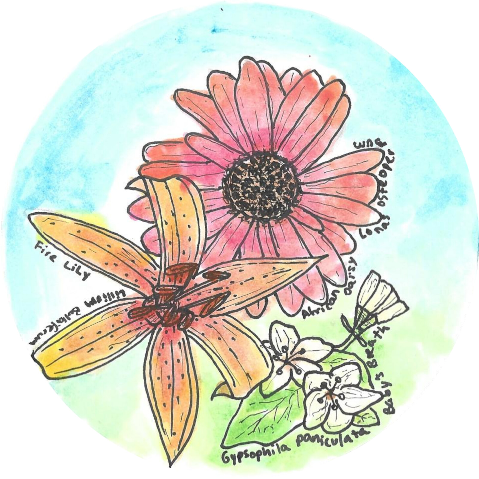 Ariadna Rodriguez - Medusa's Flowers