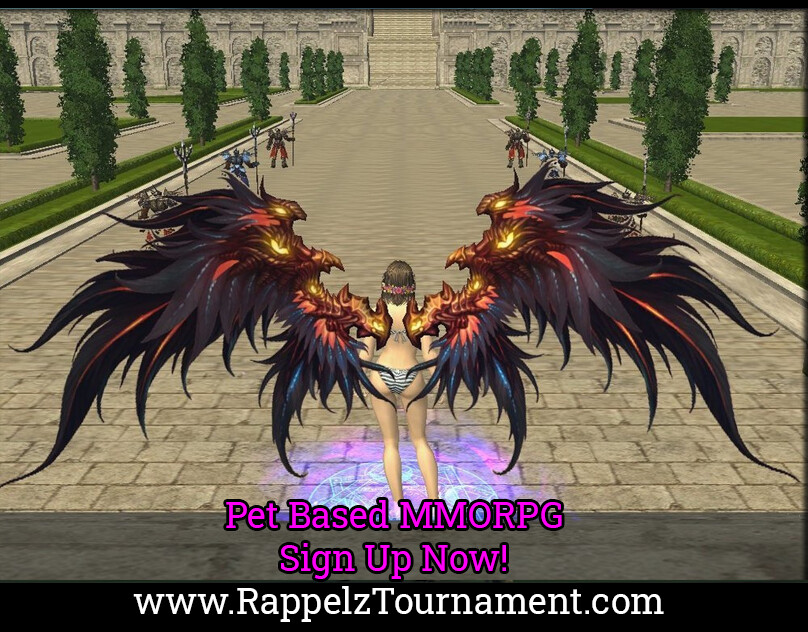 ArtStation - Pet Based MMORPG - RappelzTournament Pet Based MMORPG