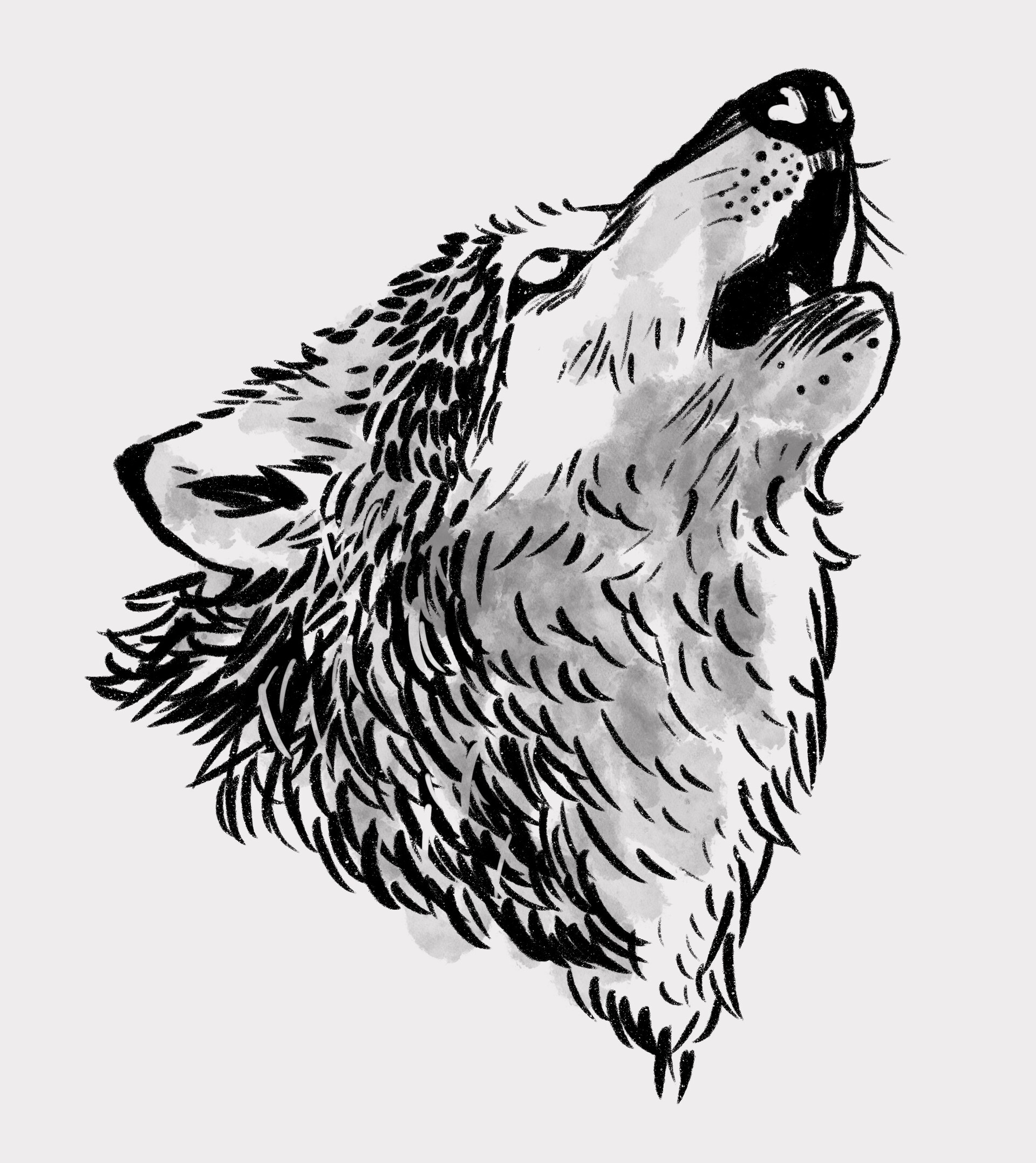 ArtStation - Wolf Head Illustration