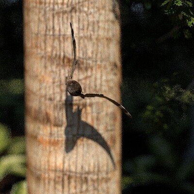 petr menshikov (looking for job)