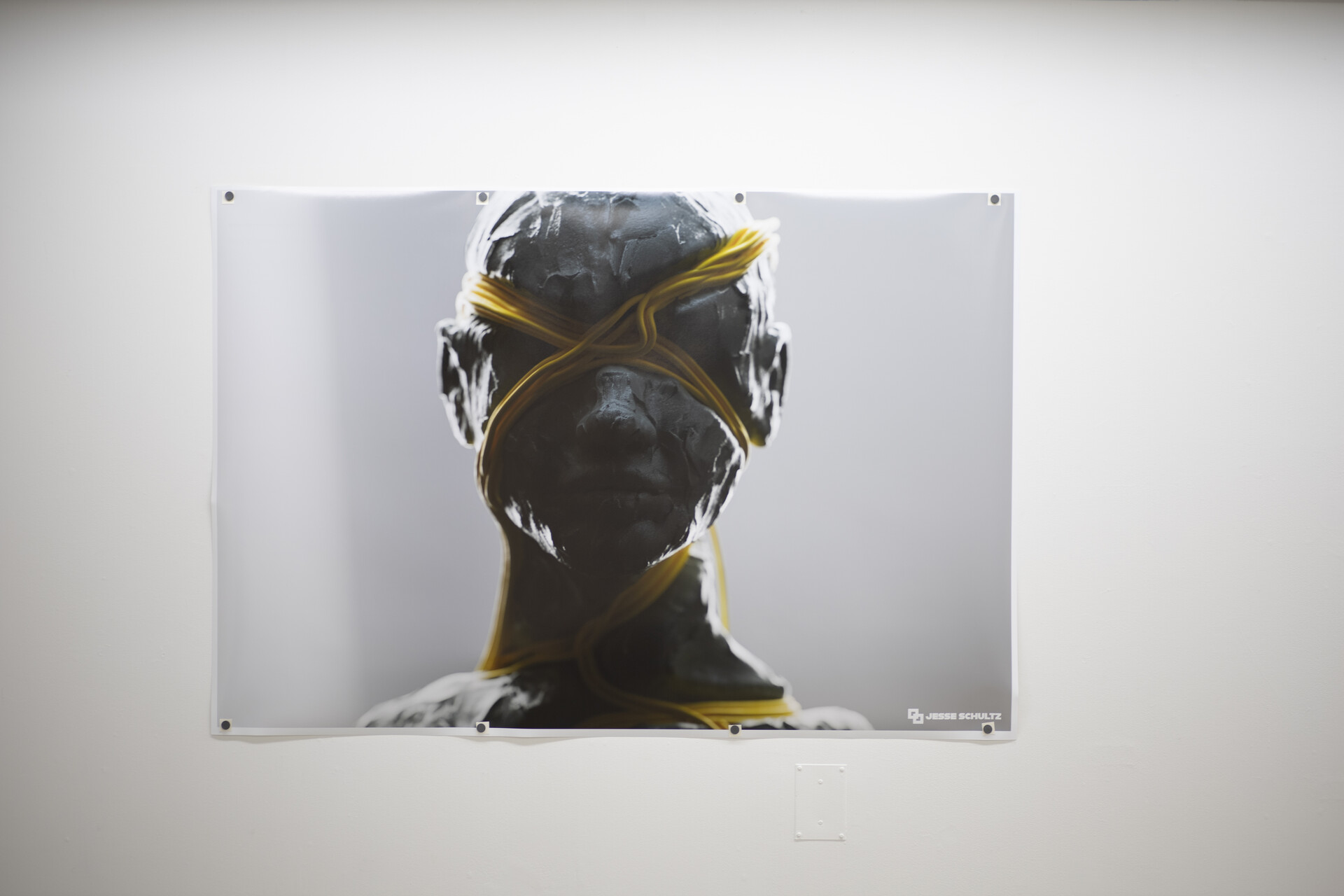 Jesse Schultz - Digital Recalcitrance