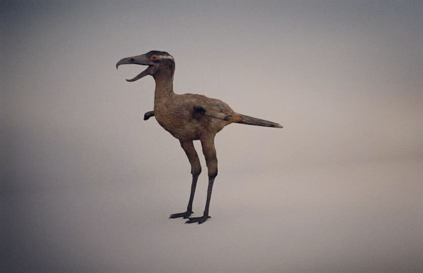 ArtStation - 3d model of Paracrax antiqus