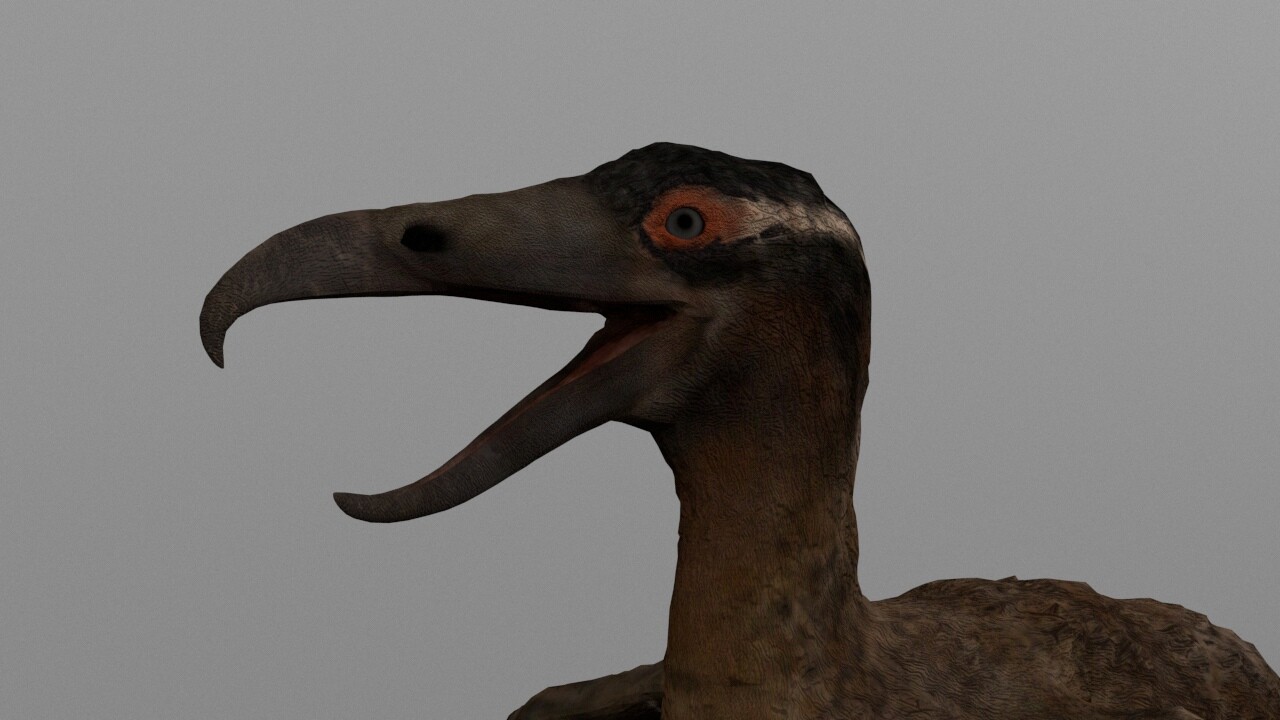 petr menshikov (looking for job) - 3d model of Paracrax antiqus