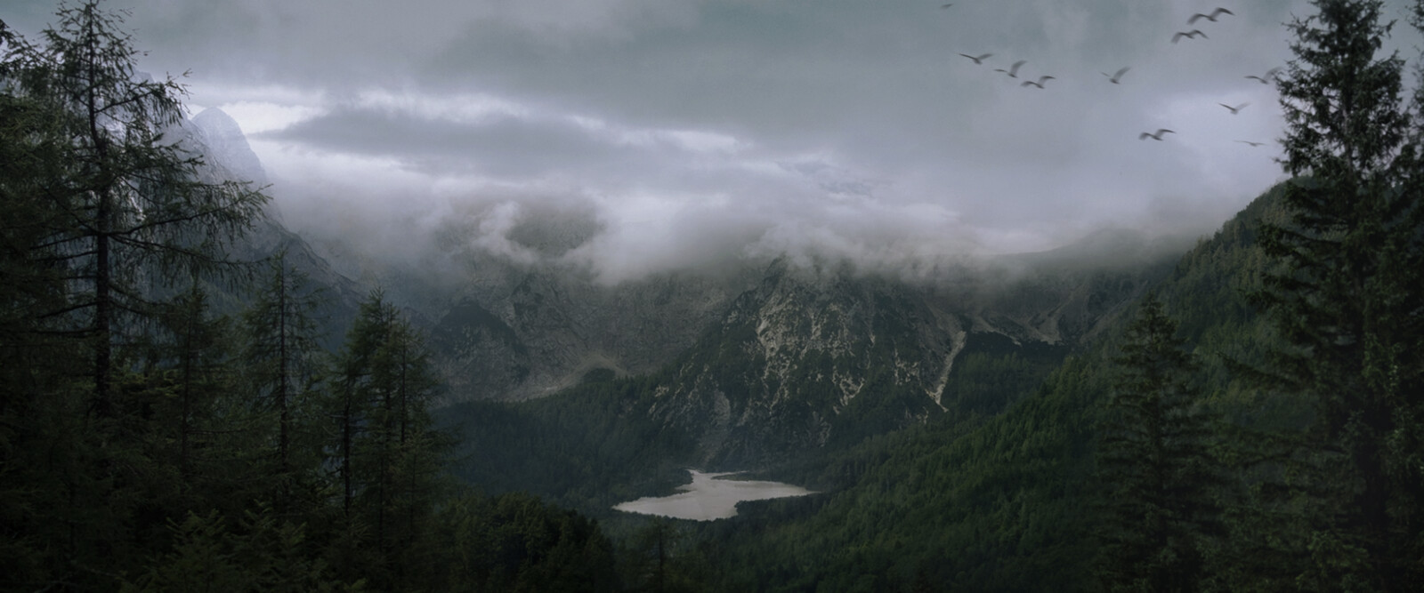 Kirsty Cutler - Misty Woods