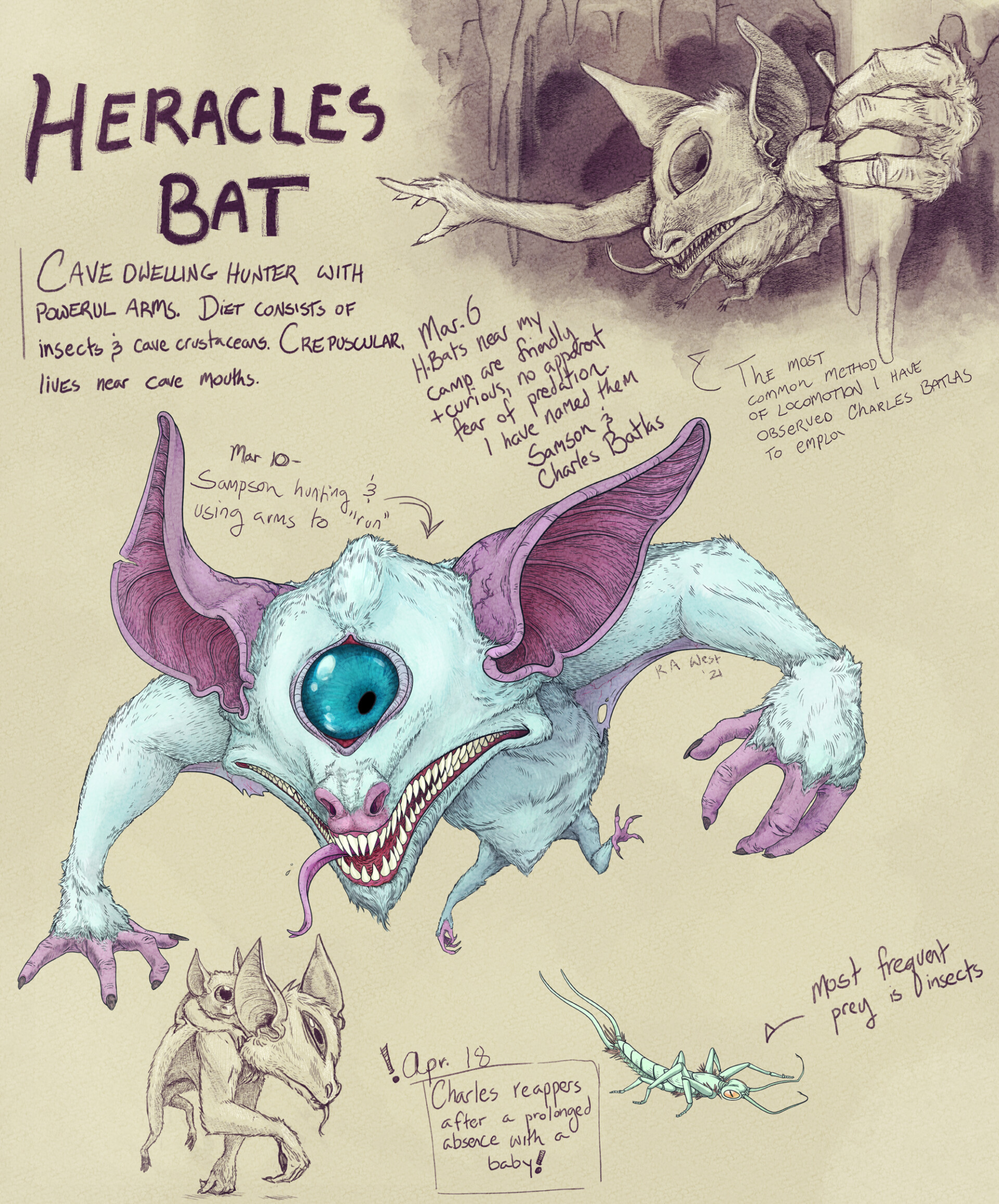 ArtStation - Notes on the Heracles Bat