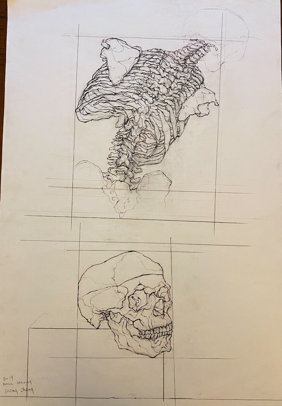 ArtStation - The skeleton Sketch