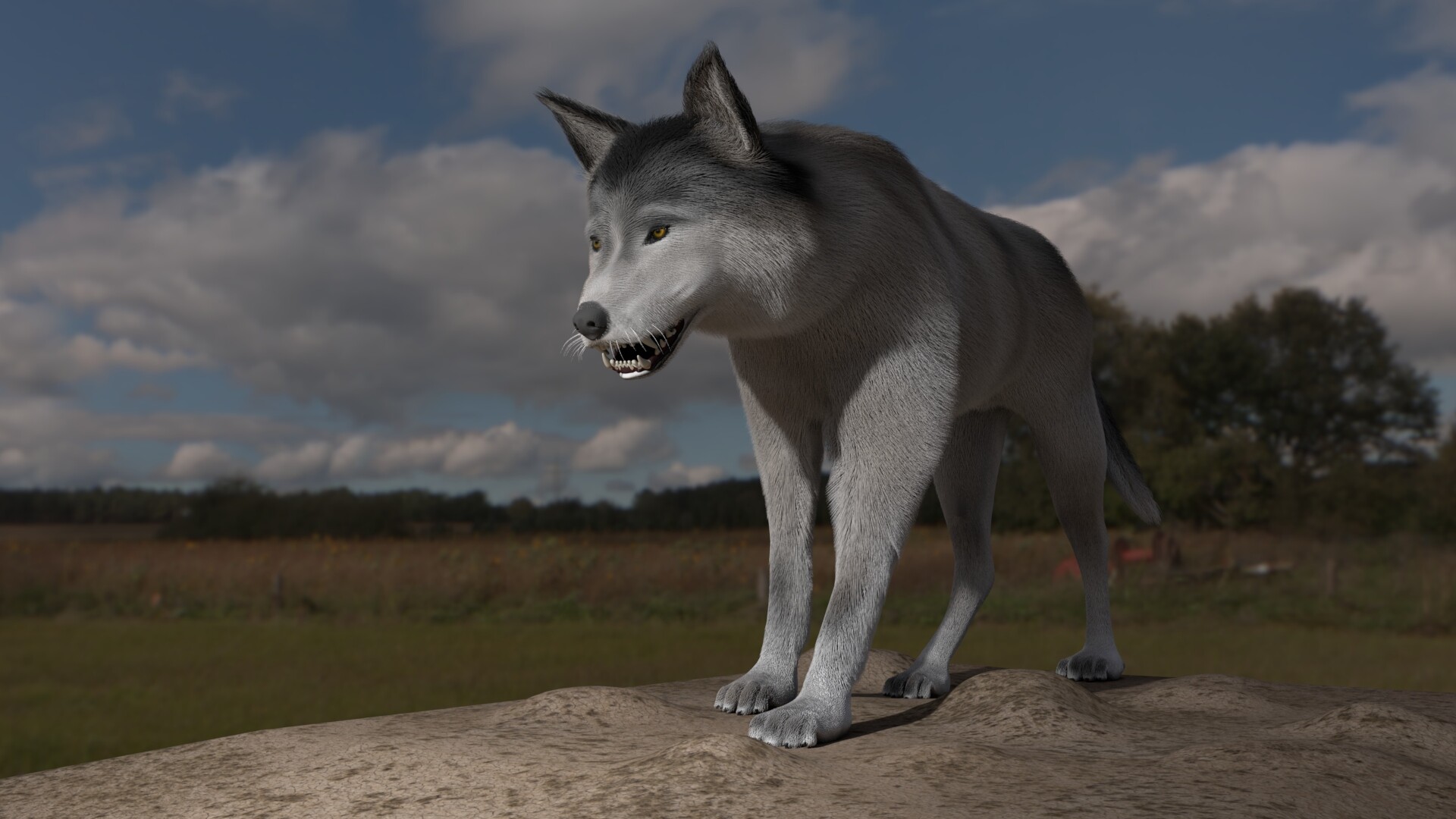 ArtStation - wolf