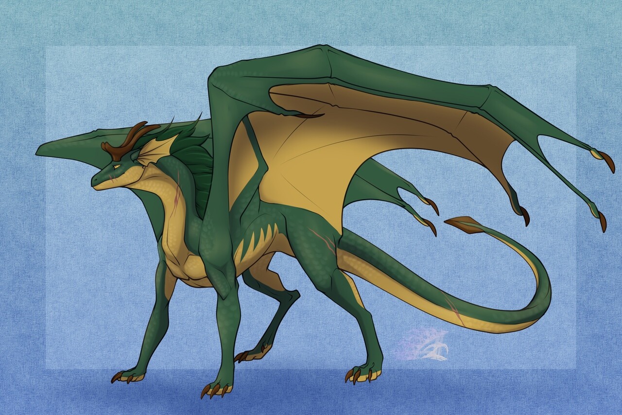 ArtStation - Momo the dragon