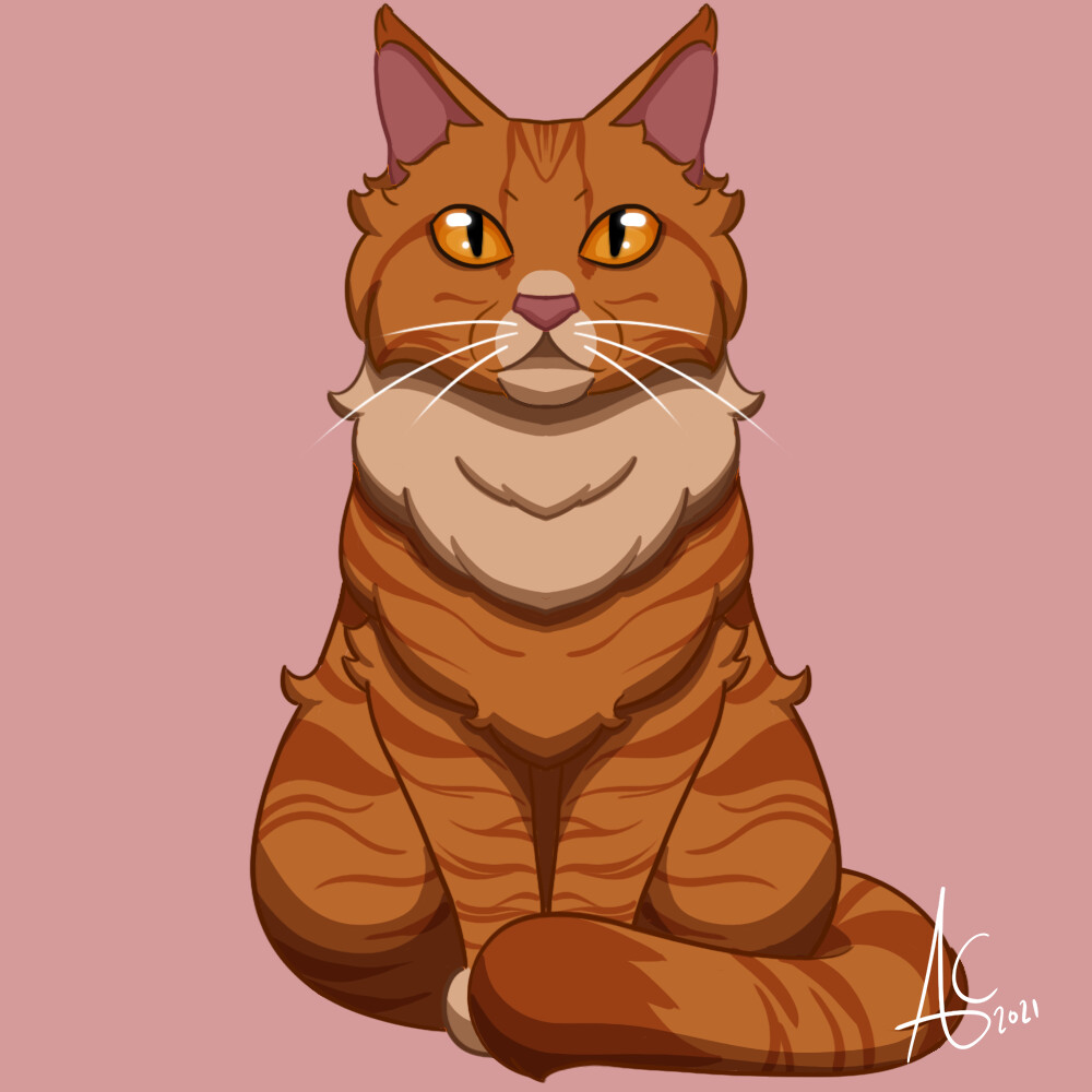 ArtStation - Maine Coon