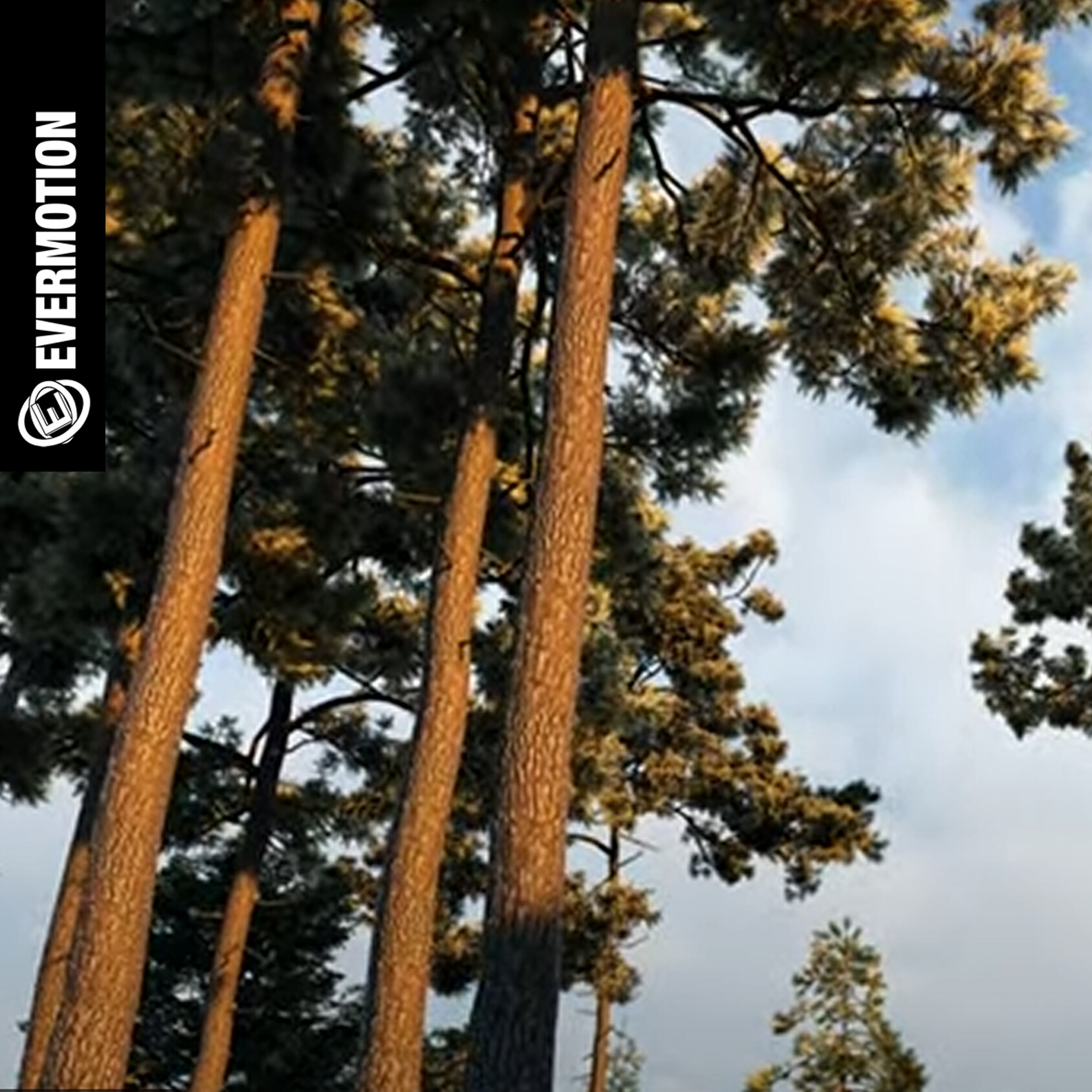 ArtStation - Archmodels 171 - Evermotion - Animation