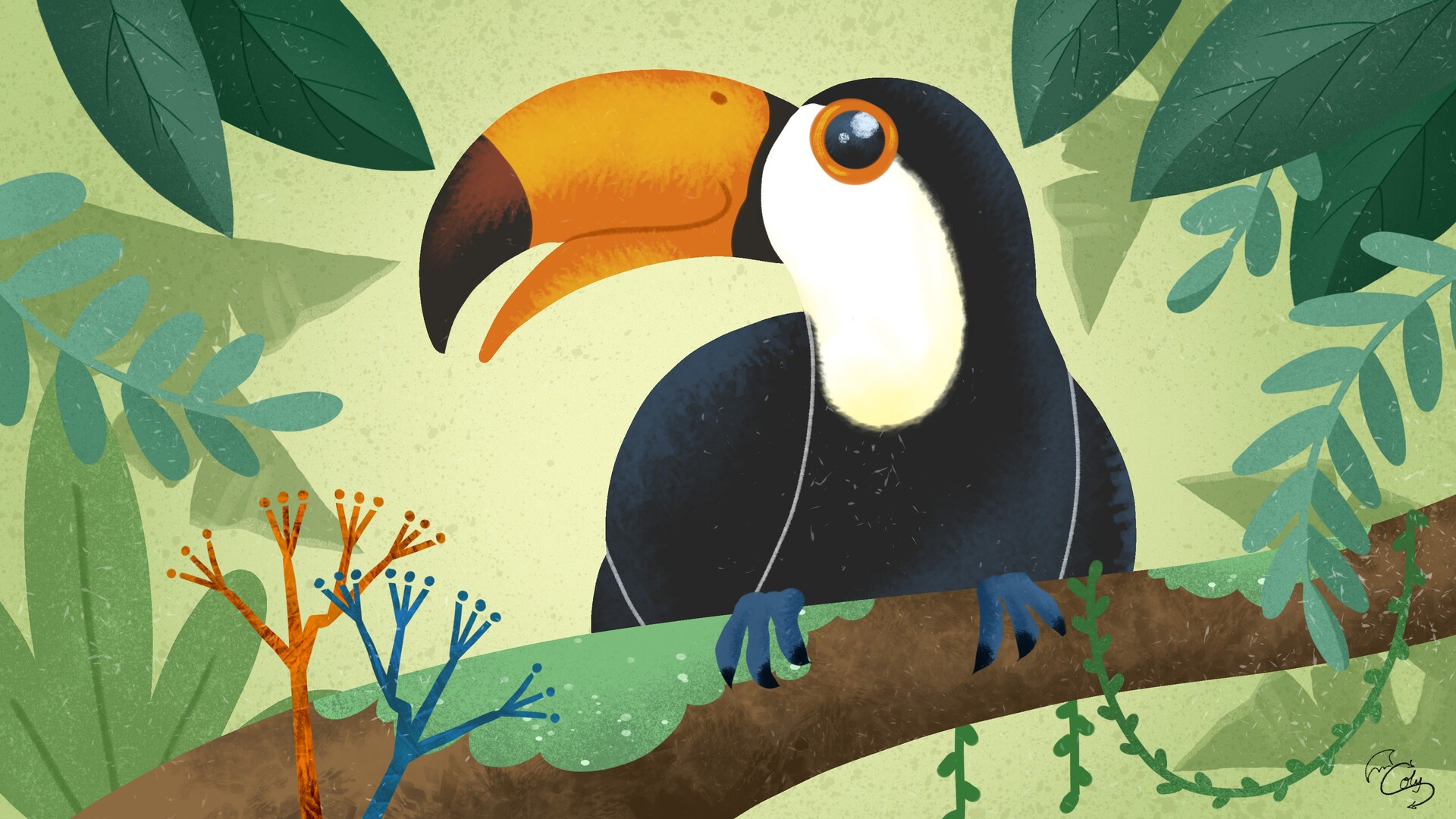 ArtStation - Baby Toucan