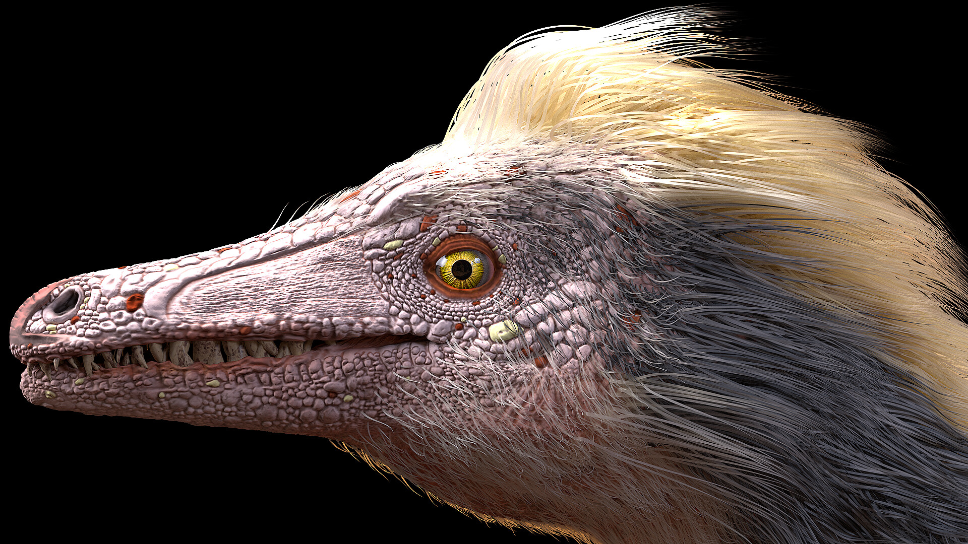 Sinornithosaurus Size