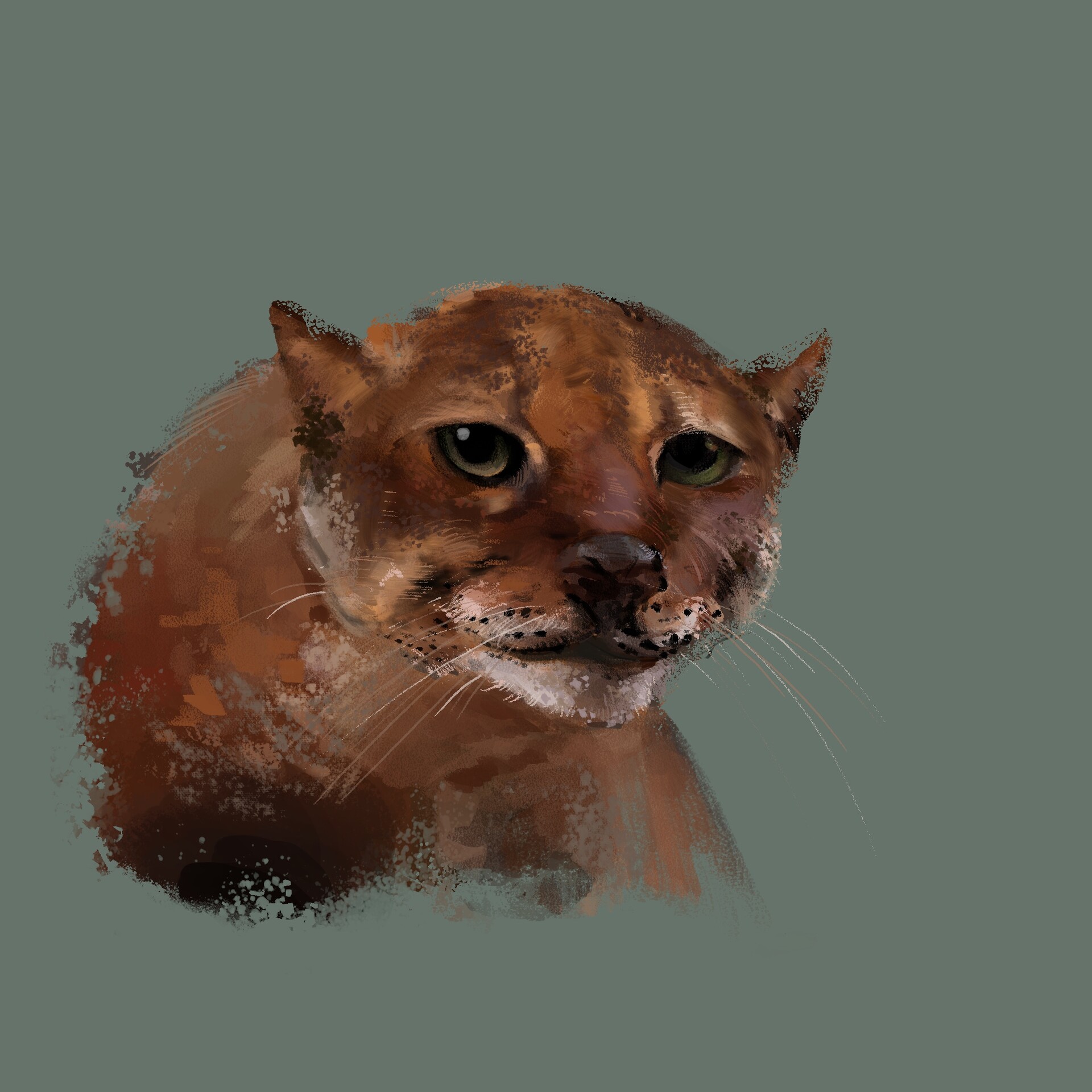 ArtStation - bay cat