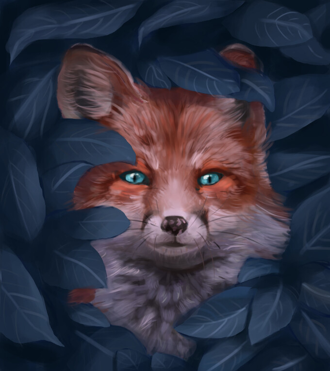 ArtStation - Fox Study