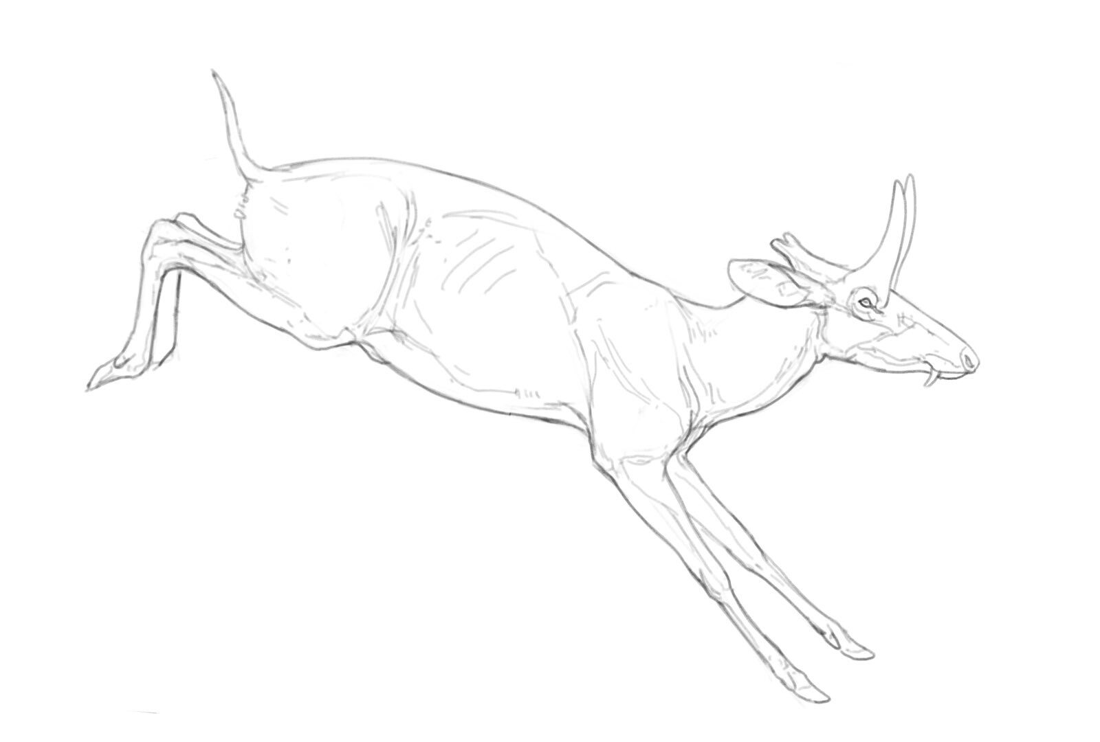 Ville Sinkkonen - endless ungulates part I