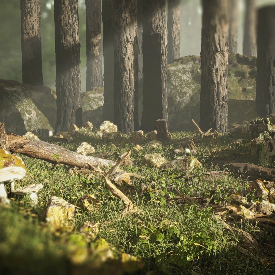 ArtStation - FOREST