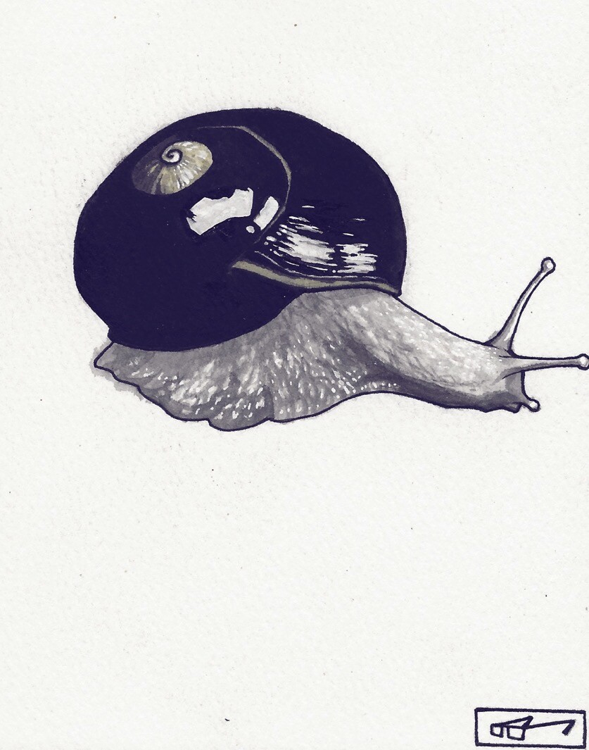 ArtStation - Escargot